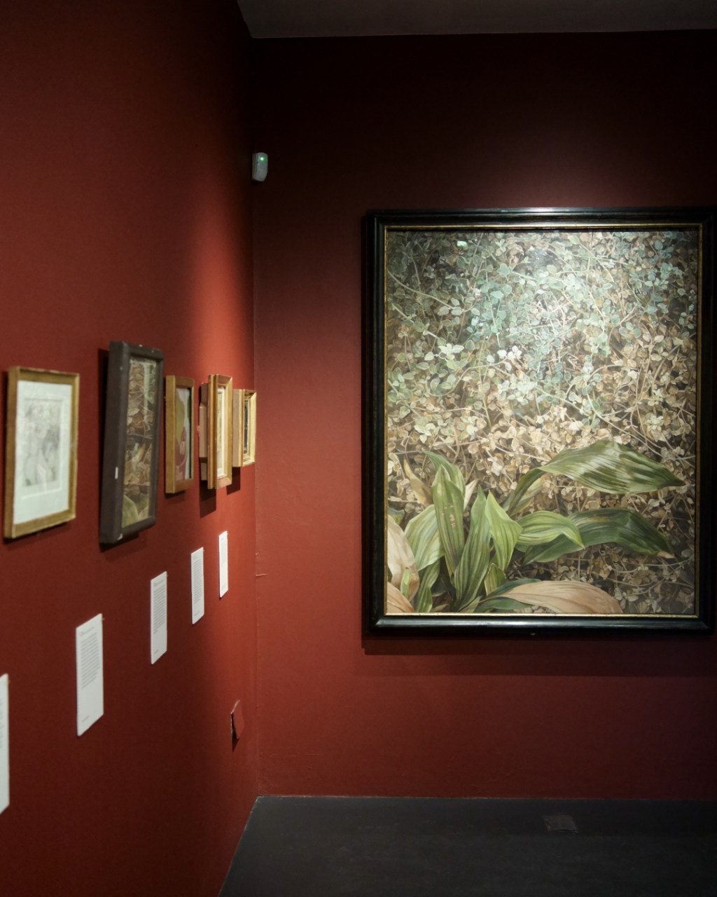 REVIEW | Lucian Freud: Plant Portraits – Garden Museum – Nigel Ip
