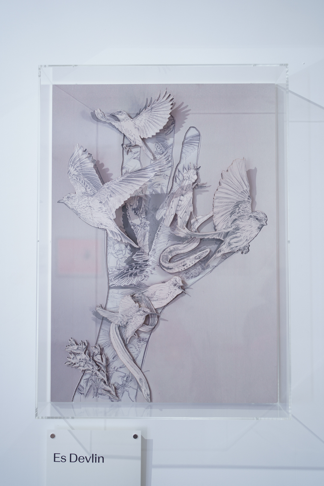 REVIEW | The Power of Drawing: Marking 25 Years of the Royal Drawing ...